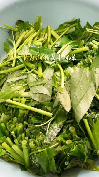 空心菜叶子怎么炒好吃_空心菜叶子做法大全-第3张图片-山城妙识