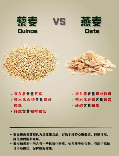 燕麦茶的功效与作用_燕麦茶可以天天喝吗-第1张图片-山城妙识