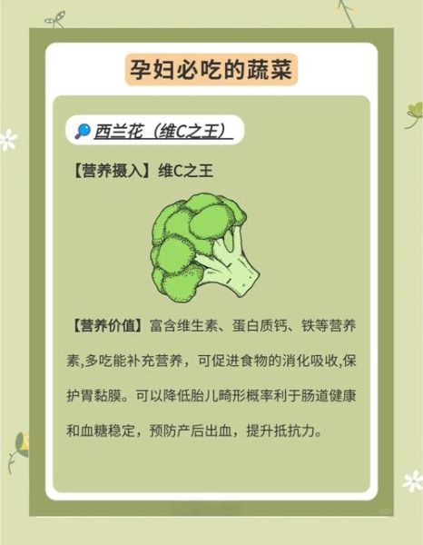 孕妇最适合吃哪些蔬菜_孕期蔬菜推荐-第1张图片-山城妙识
