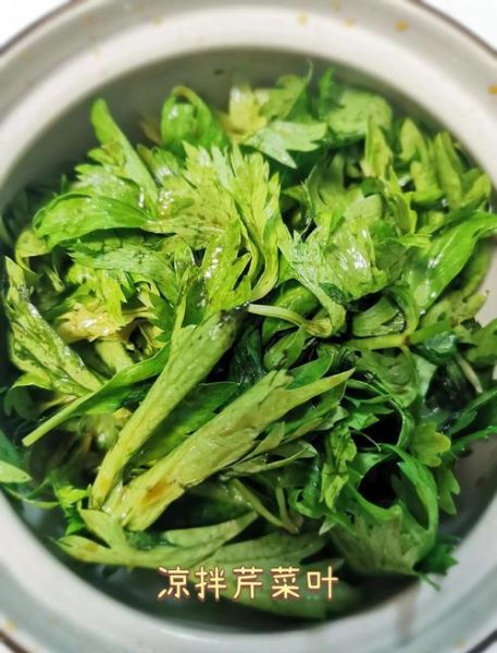 芹菜叶子怎么炒好吃_芹菜叶子能做什么菜-第2张图片-山城妙识
