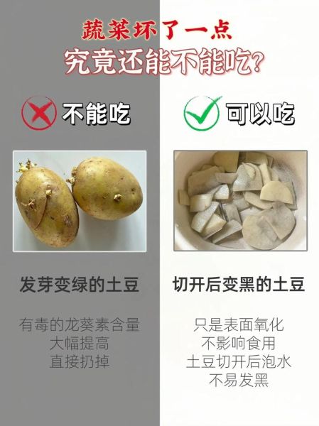 土豆发芽了把芽去掉还能吃吗_土豆长芽削掉后有毒吗-第1张图片-山城妙识