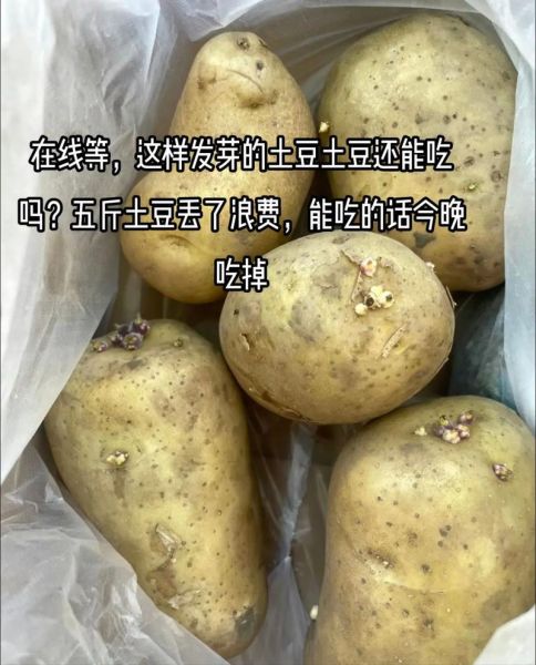 土豆发芽了把芽去掉还能吃吗_土豆长芽削掉后有毒吗-第3张图片-山城妙识