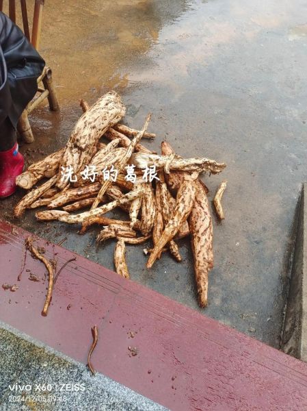 一斤野生葛粉多少钱_野生葛粉价格为什么差异大-第2张图片-山城妙识 一斤野生葛粉多少钱_野生葛粉价格为什么差异大-第2张图片-山城妙识