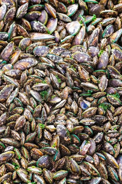 青口螺怎么清洗_青口螺的营养价值-第1张图片-山城妙识