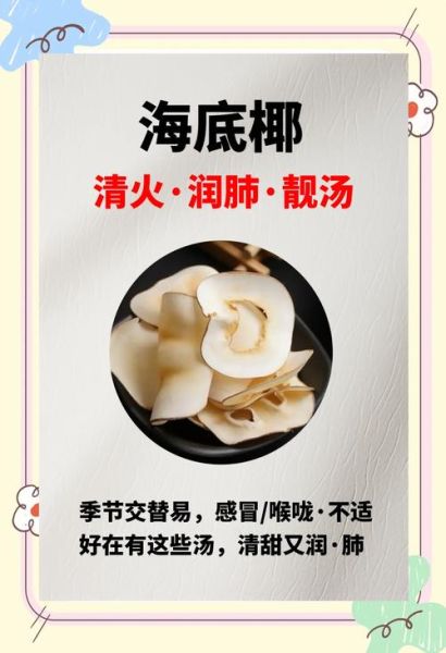 新鲜海底椰怎么挑选_海底椰煲汤做法大全-第2张图片-山城妙识 新鲜海底椰怎么挑选_海底椰煲汤做法大全-第2张图片-山城妙识