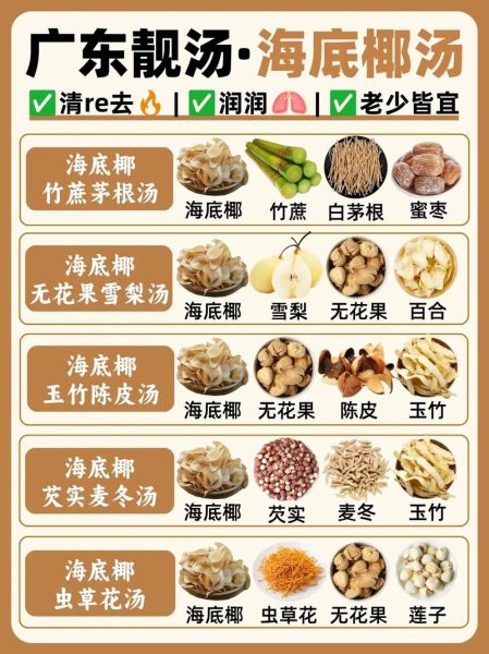 新鲜海底椰怎么挑选_海底椰煲汤做法大全-第3张图片-山城妙识 新鲜海底椰怎么挑选_海底椰煲汤做法大全-第3张图片-山城妙识