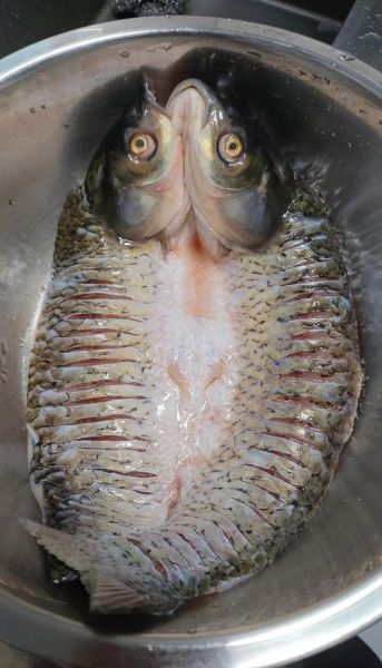 烤箱烤鱼多少度_烤鱼需要多长时间-第3张图片-山城妙识