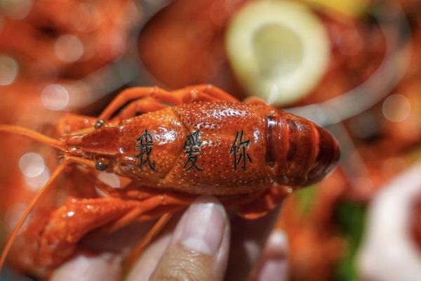 大龙虾死了24小时还能吃吗_死了多久不能吃-第2张图片-山城妙识 大龙虾死了24小时还能吃吗_死了多久不能吃-第2张图片-山城妙识