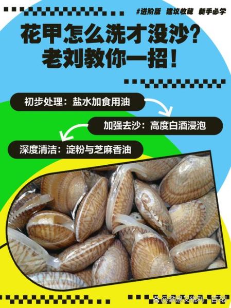 花甲怎么洗才没沙_花甲去沙最快的方法-第1张图片-山城妙识 花甲怎么洗才没沙_花甲去沙最快的方法-第1张图片-山城妙识