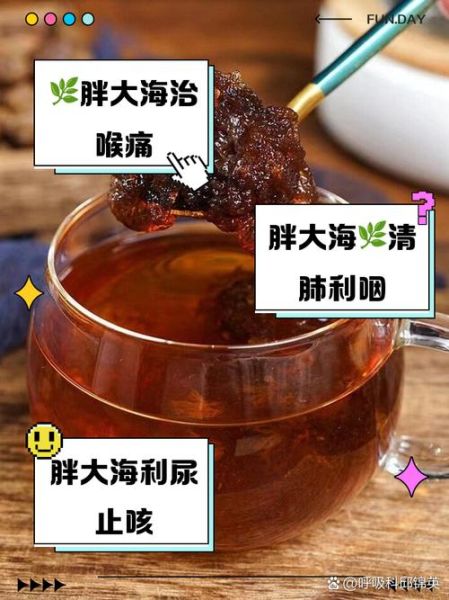 胖大海的功效与作用_胖大海的禁忌人群-第2张图片-山城妙识 胖大海的功效与作用_胖大海的禁忌人群-第2张图片-山城妙识