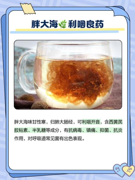 胖大海的功效与作用_胖大海的禁忌人群-第1张图片-山城妙识 胖大海的功效与作用_胖大海的禁忌人群-第1张图片-山城妙识