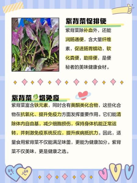紫背菜什么人不能吃_孕妇能吃吗-第2张图片-山城妙识 紫背菜什么人不能吃_孕妇能吃吗-第2张图片-山城妙识