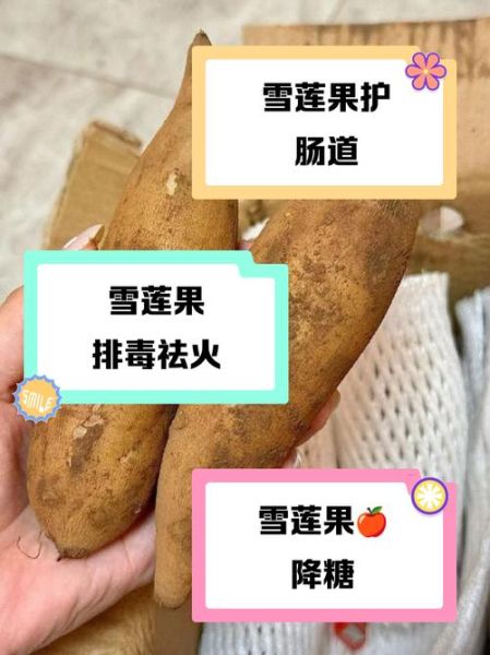 女人常吃雪莲果的好处_雪莲果对女性有哪些功效-第2张图片-山城妙识