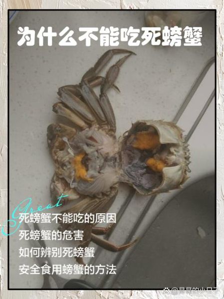 死河蟹能吃吗_河蟹死了多久不能吃-第1张图片-山城妙识