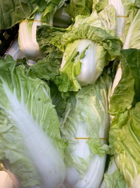 小青菜图片大全_小青菜品种有哪些-第3张图片-山城妙识