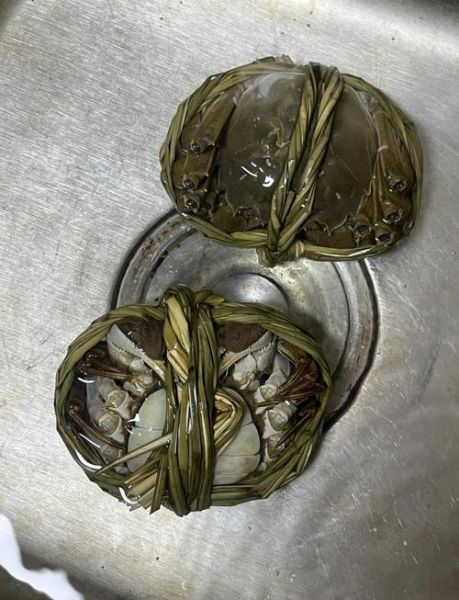 大闸蟹怎么保鲜存放十天_大闸蟹能放冰箱多久-第1张图片-山城妙识