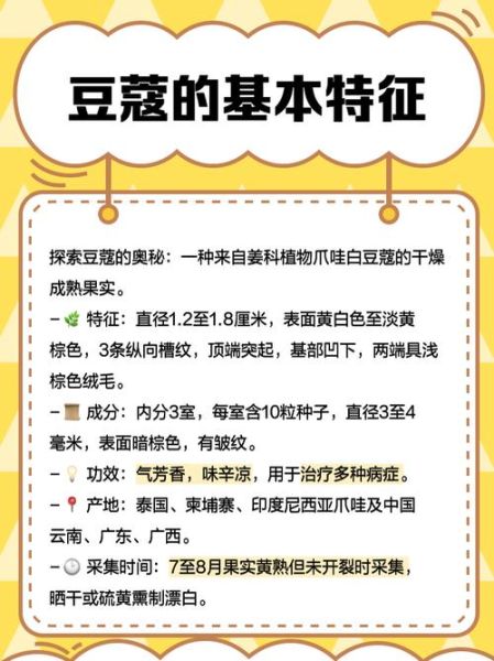 豆蔻是什么意思_豆蔻指什么年龄-第2张图片-山城妙识