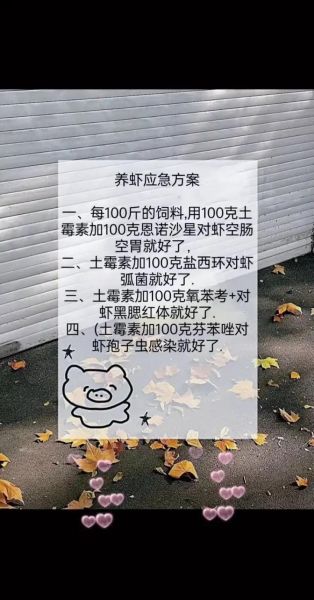 虾养殖技术_如何提高成活率-第3张图片-山城妙识