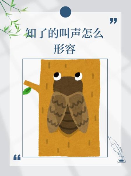 知了叫声视频怎么拍_知了为什么一直叫-第2张图片-山城妙识