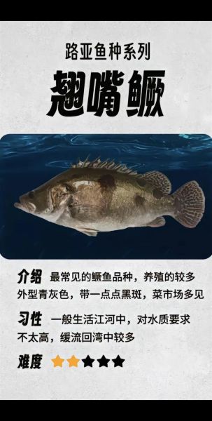 水鳜怎么读_水鳜读音是什么-第1张图片-山城妙识