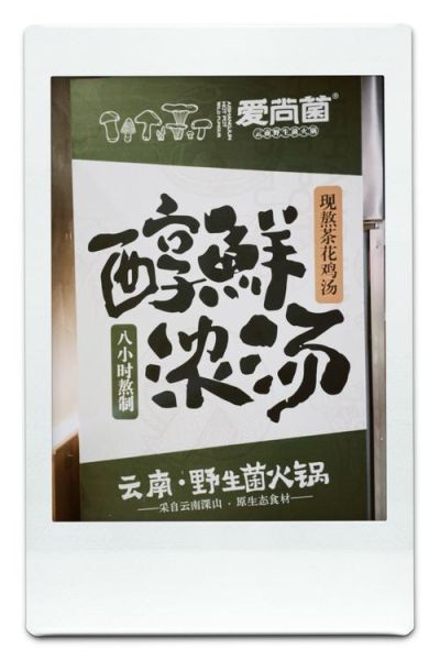 菌子汤是什么梗_菌子汤网络用语含义-第3张图片-山城妙识 菌子汤是什么梗_菌子汤网络用语含义-第3张图片-山城妙识