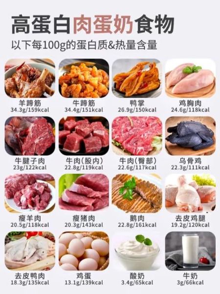 吃什么补蛋白最快最好_高蛋白食物排行榜-第2张图片-山城妙识