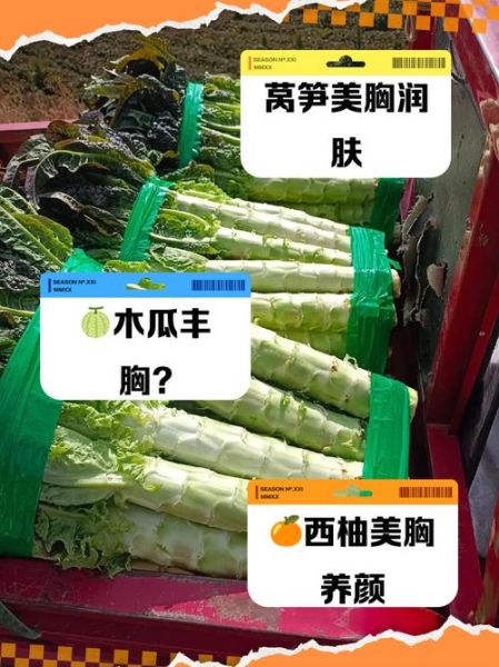 吃什么丰胸最快_吃什么丰胸最有效-第3张图片-山城妙识 吃什么丰胸最快_吃什么丰胸最有效-第3张图片-山城妙识