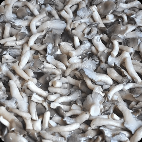 姬菇多少钱一斤_姬菇价格走势2024-第3张图片-山城妙识 姬菇多少钱一斤_姬菇价格走势2024-第3张图片-山城妙识