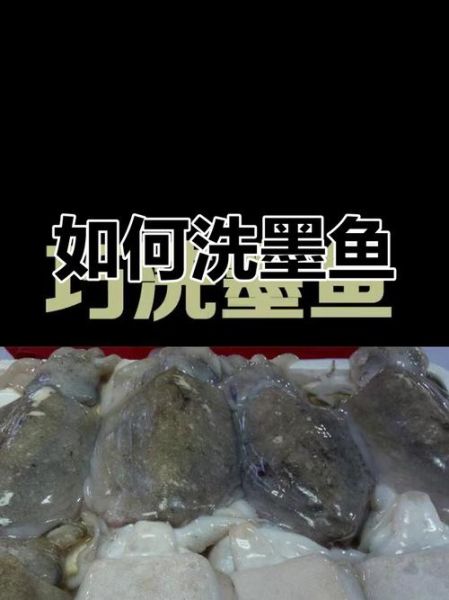 小墨鱼的做法怎么处理_小墨鱼怎么清洗才干净-第1张图片-山城妙识 小墨鱼的做法怎么处理_小墨鱼怎么清洗才干净-第1张图片-山城妙识