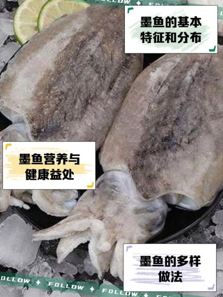 小墨鱼的做法怎么处理_小墨鱼怎么清洗才干净-第2张图片-山城妙识 小墨鱼的做法怎么处理_小墨鱼怎么清洗才干净-第2张图片-山城妙识