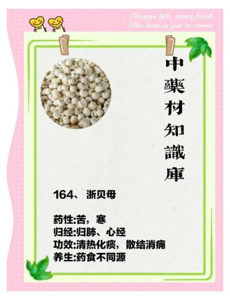 浙贝母的功效与作用_浙贝母怎么吃好-第3张图片-山城妙识 浙贝母的功效与作用_浙贝母怎么吃好-第3张图片-山城妙识