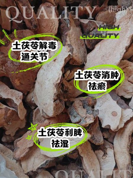 土茯苓能治痛风吗_土茯苓的功效与作用-第1张图片-山城妙识 土茯苓能治痛风吗_土茯苓的功效与作用-第1张图片-山城妙识