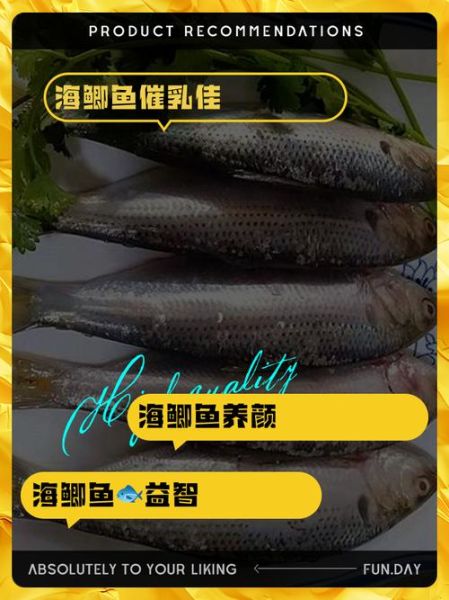 海鲫鱼营养价值_海鲫鱼图片怎么看新鲜-第1张图片-山城妙识