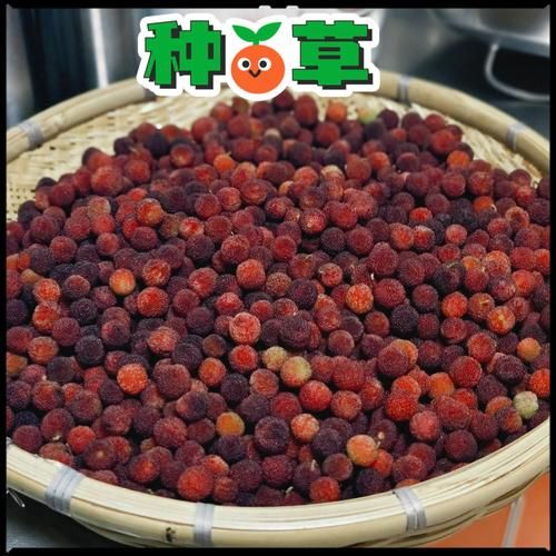 蜜饯怎么做出来的_家庭蜜饯制作步骤-第3张图片-山城妙识 蜜饯怎么做出来的_家庭蜜饯制作步骤-第3张图片-山城妙识