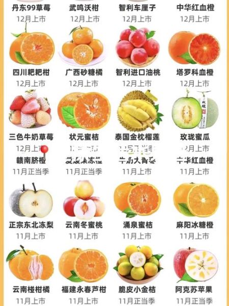 水果批发网靠谱吗_水果批发网价格表-第1张图片-山城妙识 水果批发网靠谱吗_水果批发网价格表-第1张图片-山城妙识