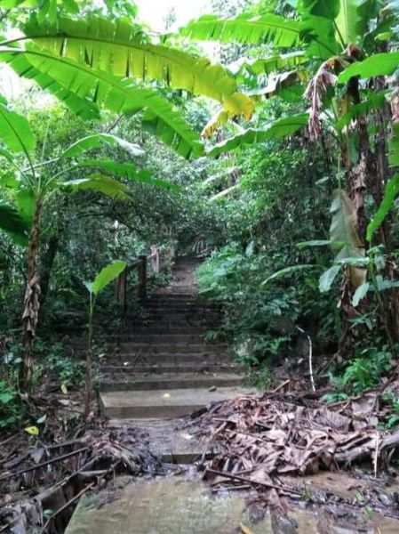 百果树怎么收费_百果树计费规则-第3张图片-山城妙识