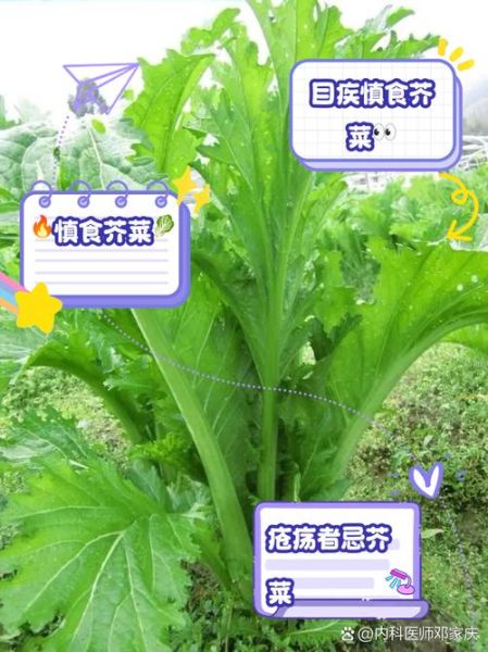 芥菜的营养价值及功效与作用_芥菜怎么吃最健康-第3张图片-山城妙识
