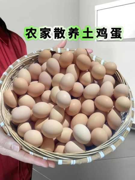 正宗土鸡蛋多少钱一个_土鸡蛋价格行情-第2张图片-山城妙识 正宗土鸡蛋多少钱一个_土鸡蛋价格行情-第2张图片-山城妙识