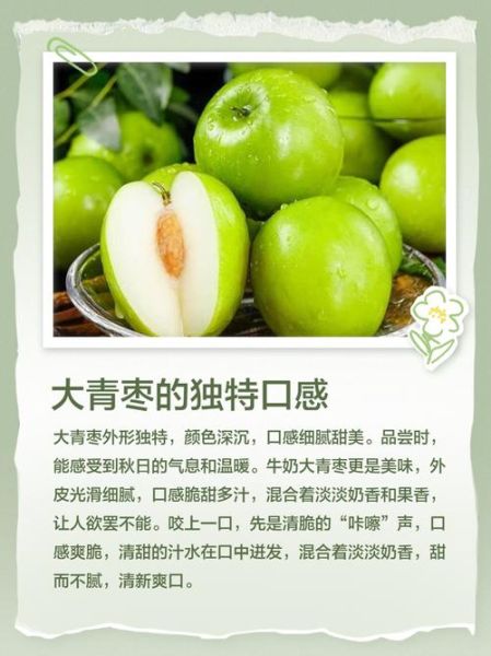 大青枣的功效与作用_大青枣热量高吗-第3张图片-山城妙识