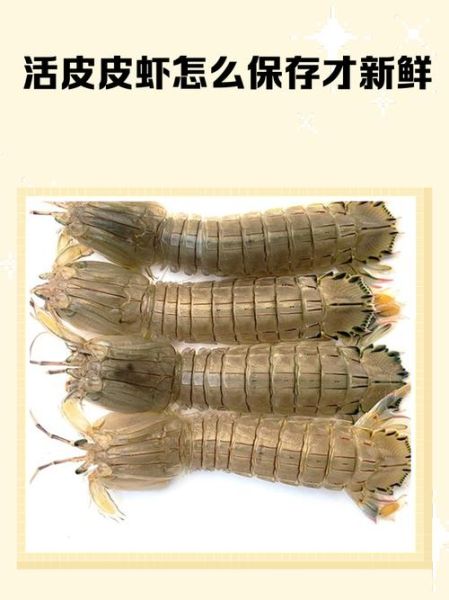 清水煮皮皮虾煮多长时间_如何判断熟透-第3张图片-山城妙识