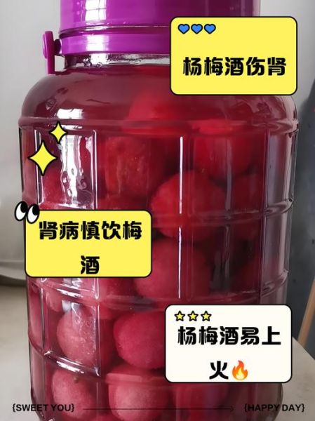 什么人不能喝杨梅酒_孕妇能喝吗-第2张图片-山城妙识