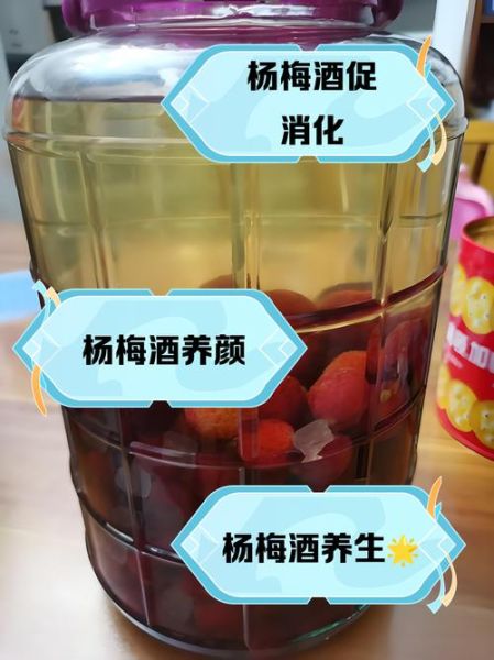 什么人不能喝杨梅酒_孕妇能喝吗-第1张图片-山城妙识