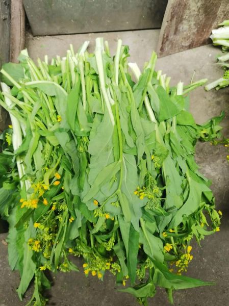 绿色花菜怎么做好吃又简单_绿色花菜家常做法-第1张图片-山城妙识 绿色花菜怎么做好吃又简单_绿色花菜家常做法-第1张图片-山城妙识