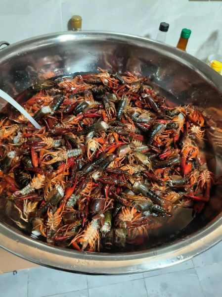 10斤大龙虾多少钱_10斤龙虾价格表-第1张图片-山城妙识 10斤大龙虾多少钱_10斤龙虾价格表-第1张图片-山城妙识