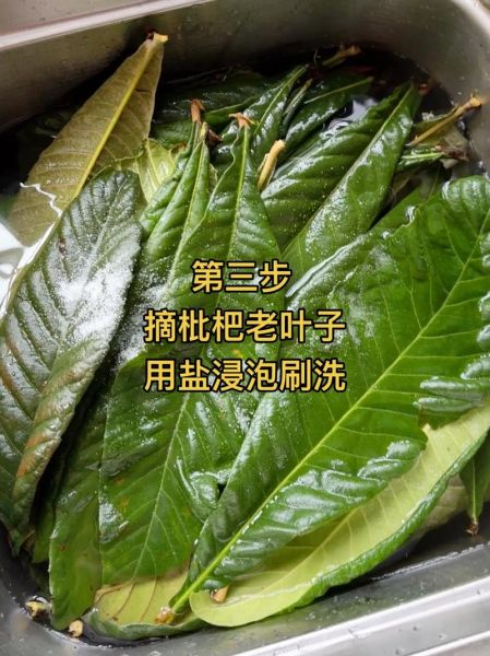 自制川贝枇杷膏的功效_川贝枇杷膏怎么熬-第1张图片-山城妙识 自制川贝枇杷膏的功效_川贝枇杷膏怎么熬-第1张图片-山城妙识