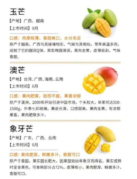 甘蔗男芒果男山竹男是什么意思_如何辨别-第2张图片-山城妙识