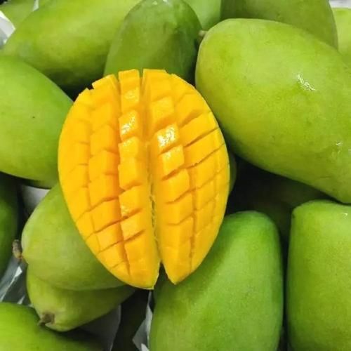 甘蔗男芒果男山竹男是什么意思_如何辨别-第3张图片-山城妙识