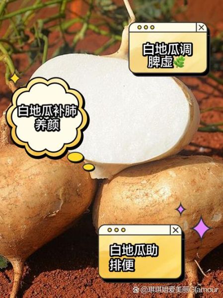 白地瓜怎么吃最有营养_白地瓜生吃还是熟吃好-第1张图片-山城妙识 白地瓜怎么吃最有营养_白地瓜生吃还是熟吃好-第1张图片-山城妙识