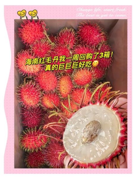 红毛丹孕妇可以吃吗_孕期吃红毛丹注意事项-第1张图片-山城妙识 红毛丹孕妇可以吃吗_孕期吃红毛丹注意事项-第1张图片-山城妙识