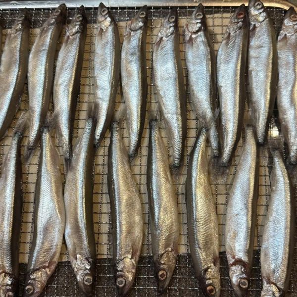 多春鱼多少钱一斤_多春鱼价格行情-第3张图片-山城妙识 多春鱼多少钱一斤_多春鱼价格行情-第3张图片-山城妙识